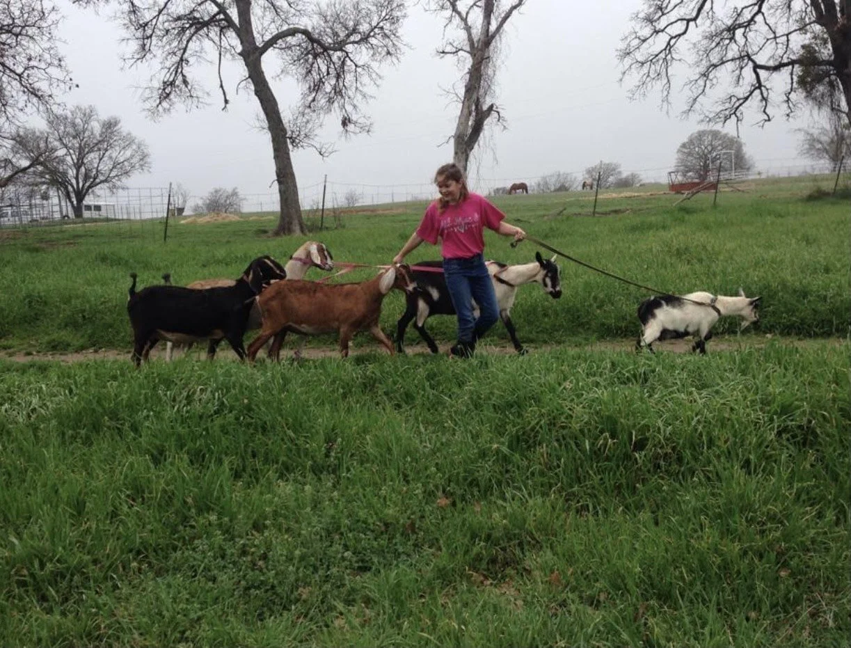 Welcoming Two Goat Milk Farms in Texas and British Columbia to RAWMI ...
