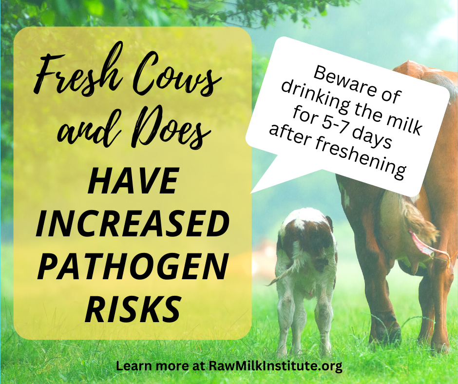 Managing Pathogen Risks from Fresh Cows and Does — Raw Milk Institute
