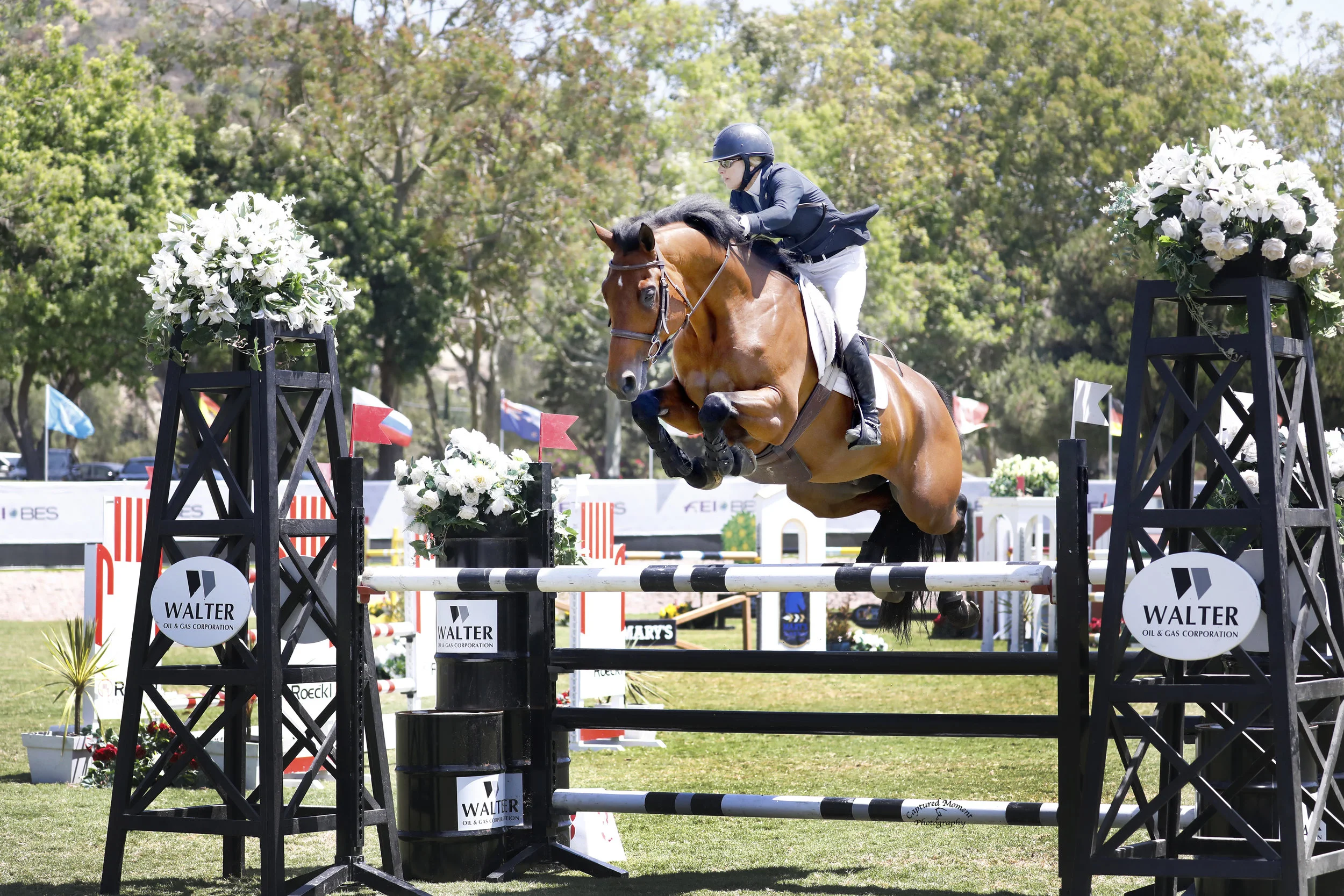 In Competition — Hap Hansen Stables