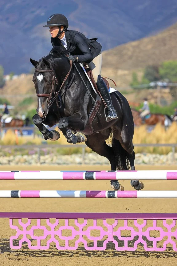 Night Shade — Hap Hansen Stables