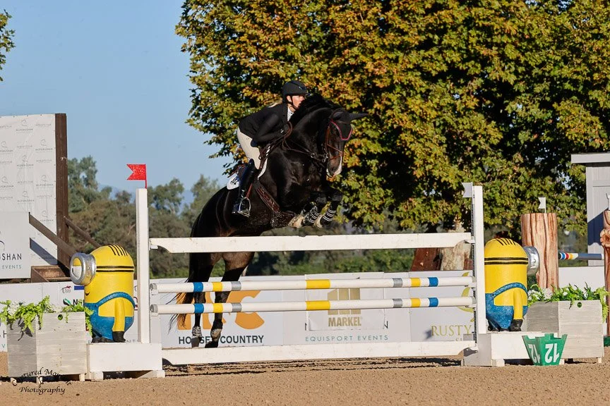 Night Shade — Hap Hansen Stables