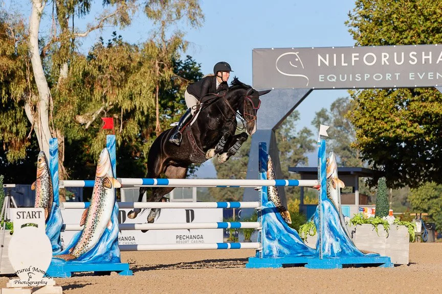 Night Shade — Hap Hansen Stables