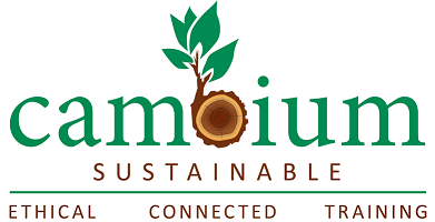 Login/Sign Up — Cambium Sustainable