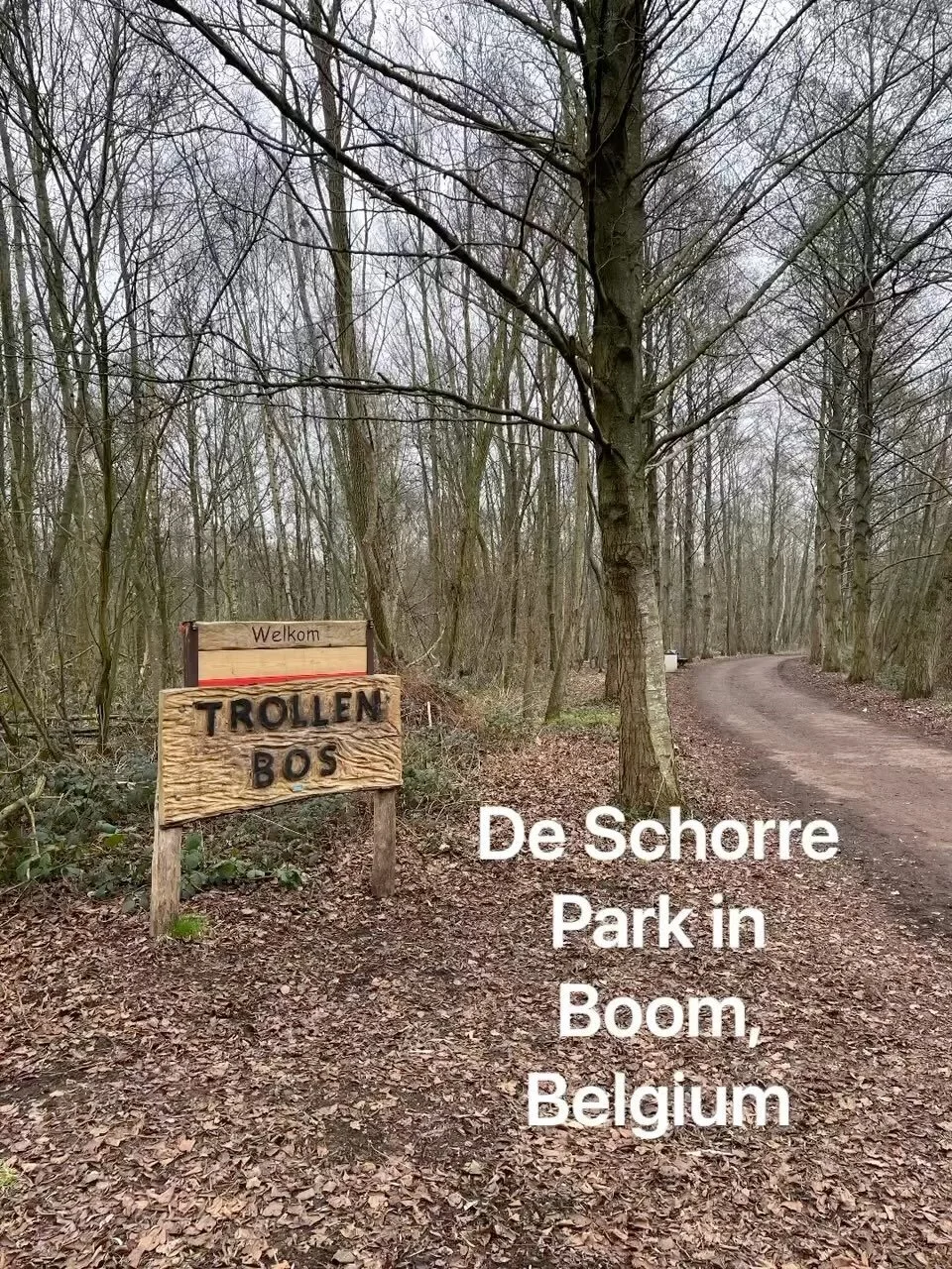 Palimpsest — Shari Pratt