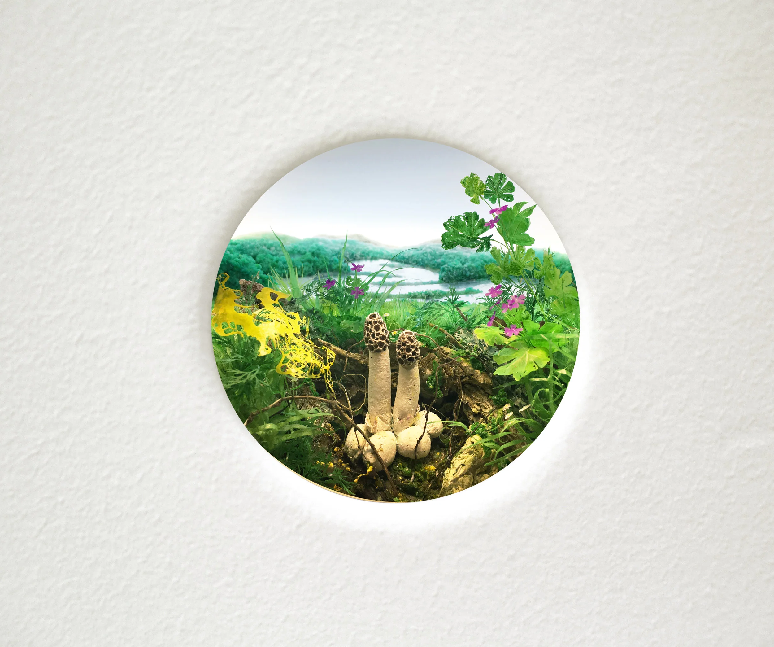 Patrick Jacobs - Official Site