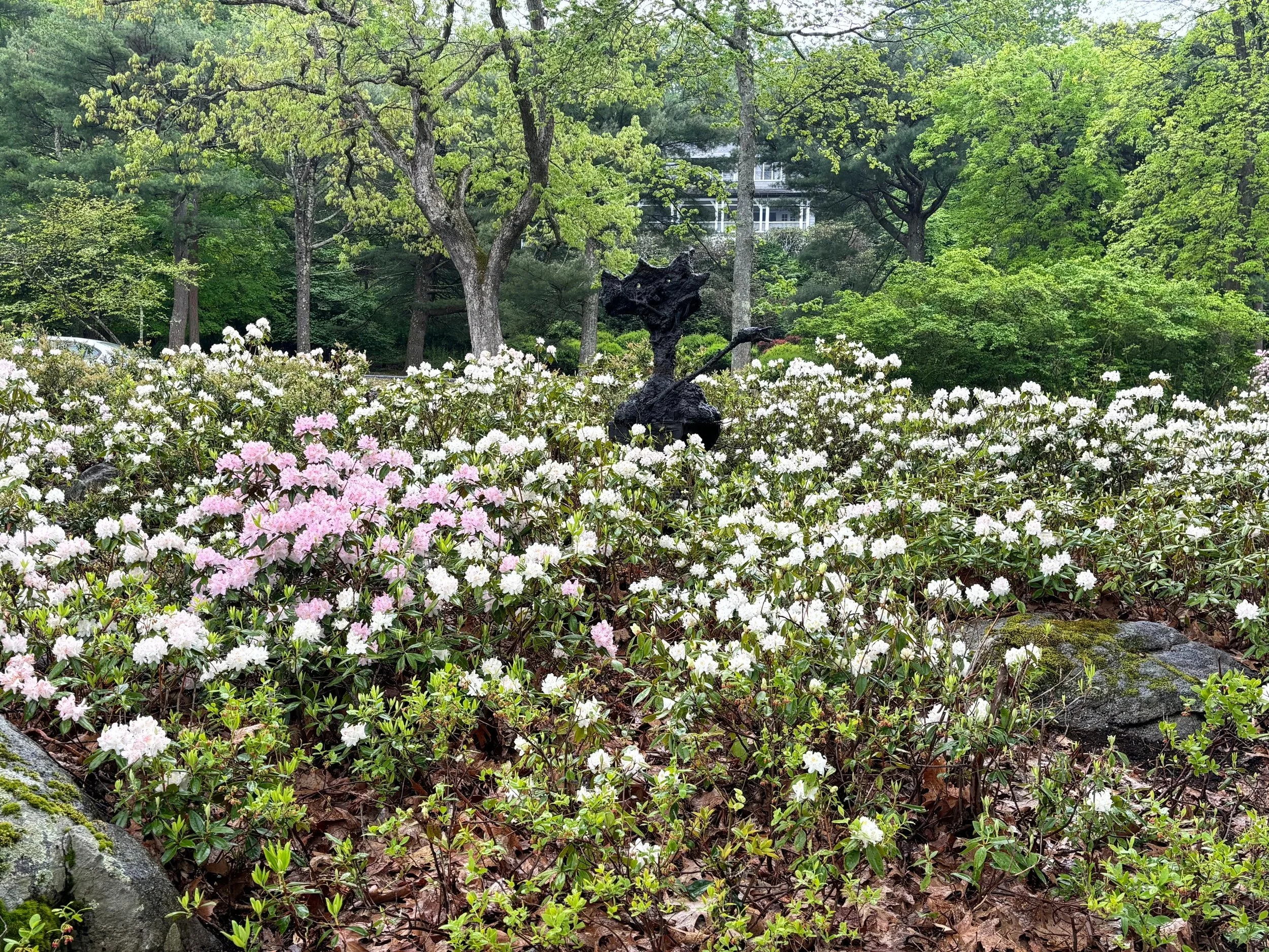 Patrick Jacobs - Official Site