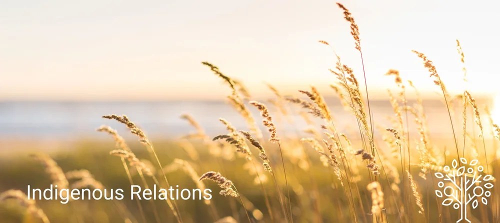 Indigenous Relations — The Association of Counselling Therapy of Alberta