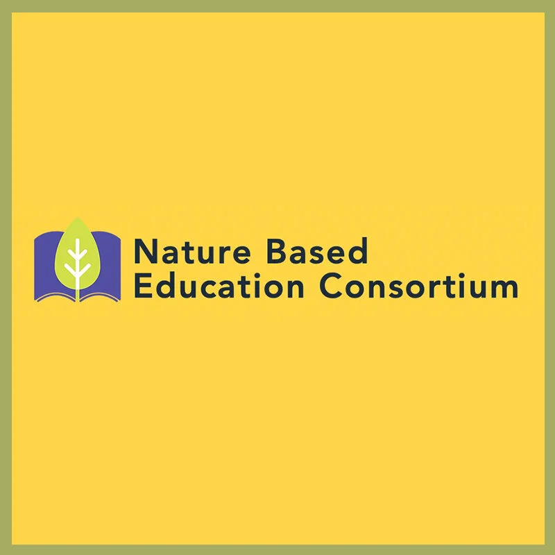 Grant Awards 2020 Cycle 1.B — Onion Foundation