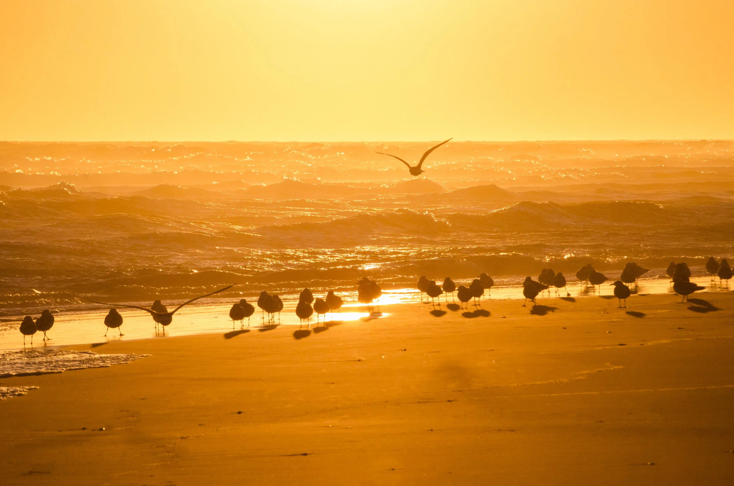 Mike O'Shell Photography — Outer Banks Landscape Photography