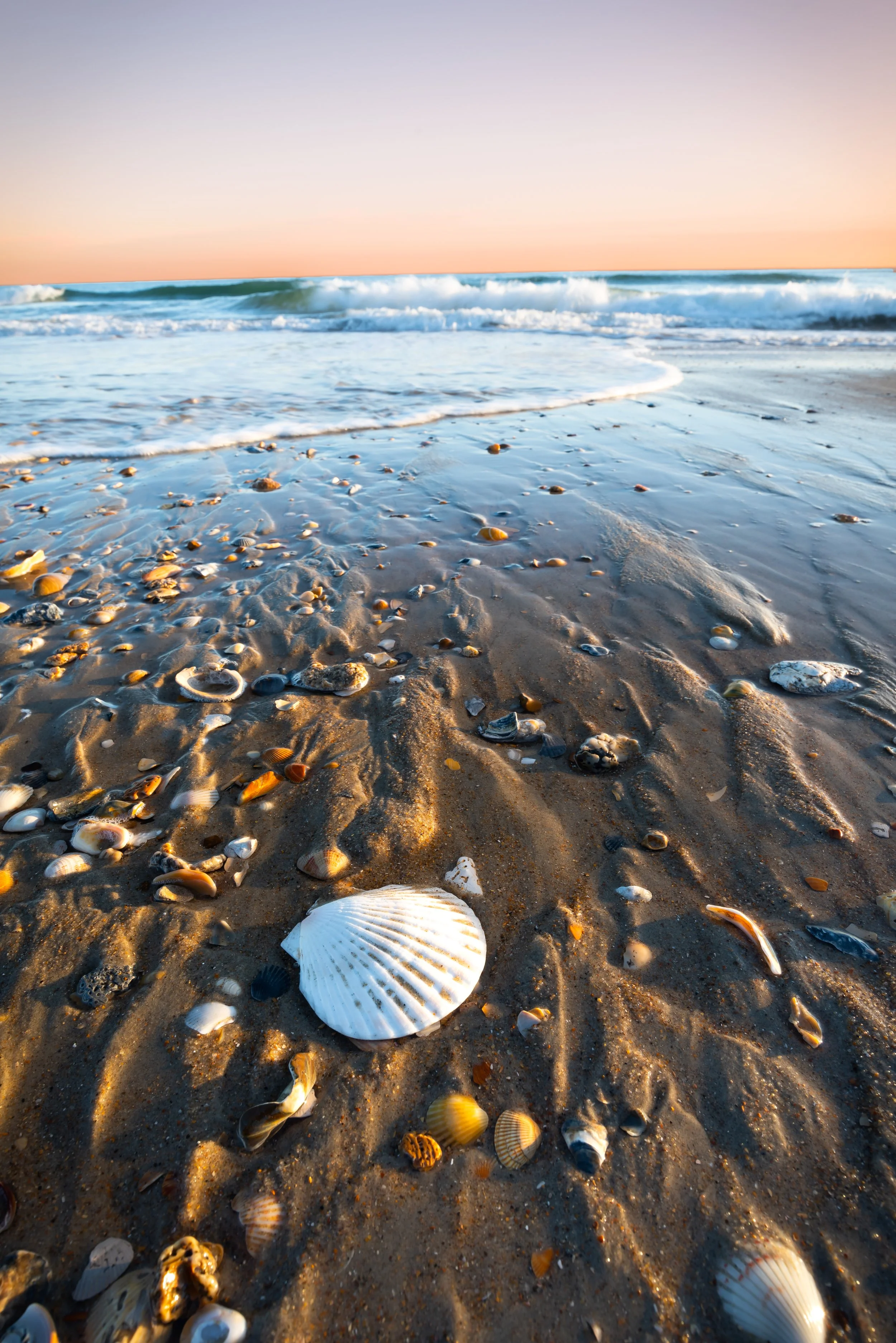 Mike O'Shell — Cape Hatteras National Seashore - Outer Banks landscape ...