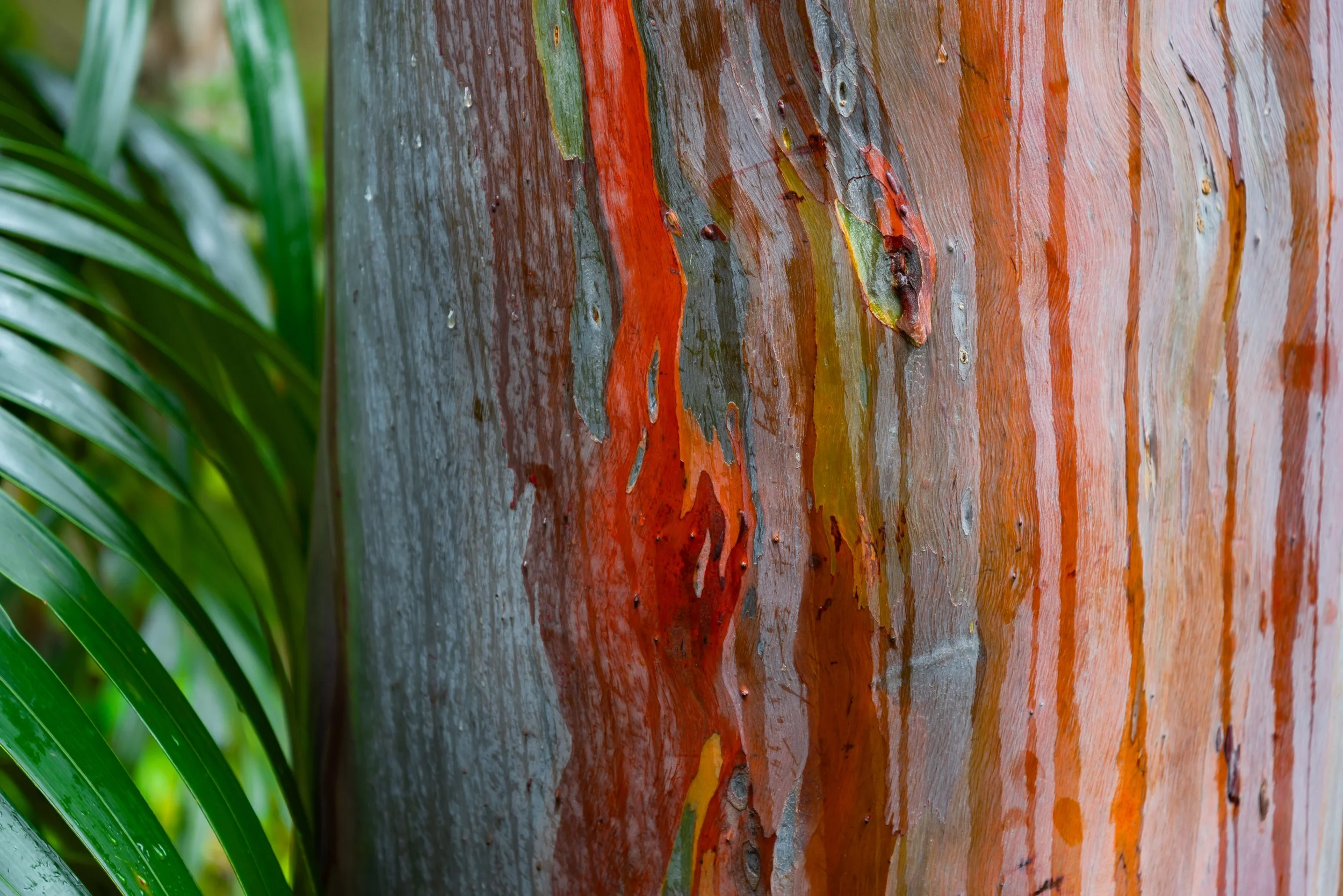 Mike O'Shell — Florida Fine Art Landscape Photography