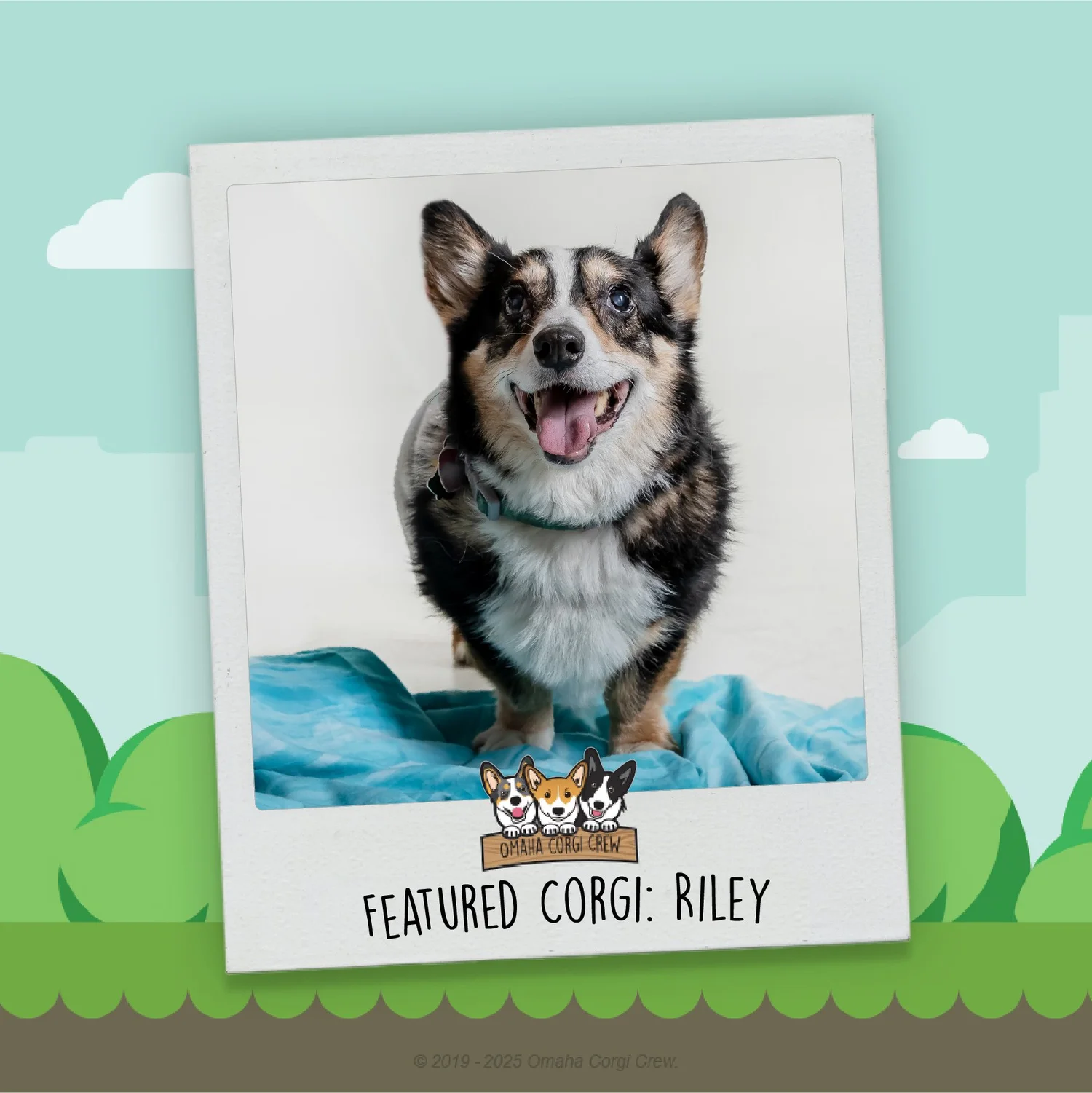 Omaha Corgi Crew