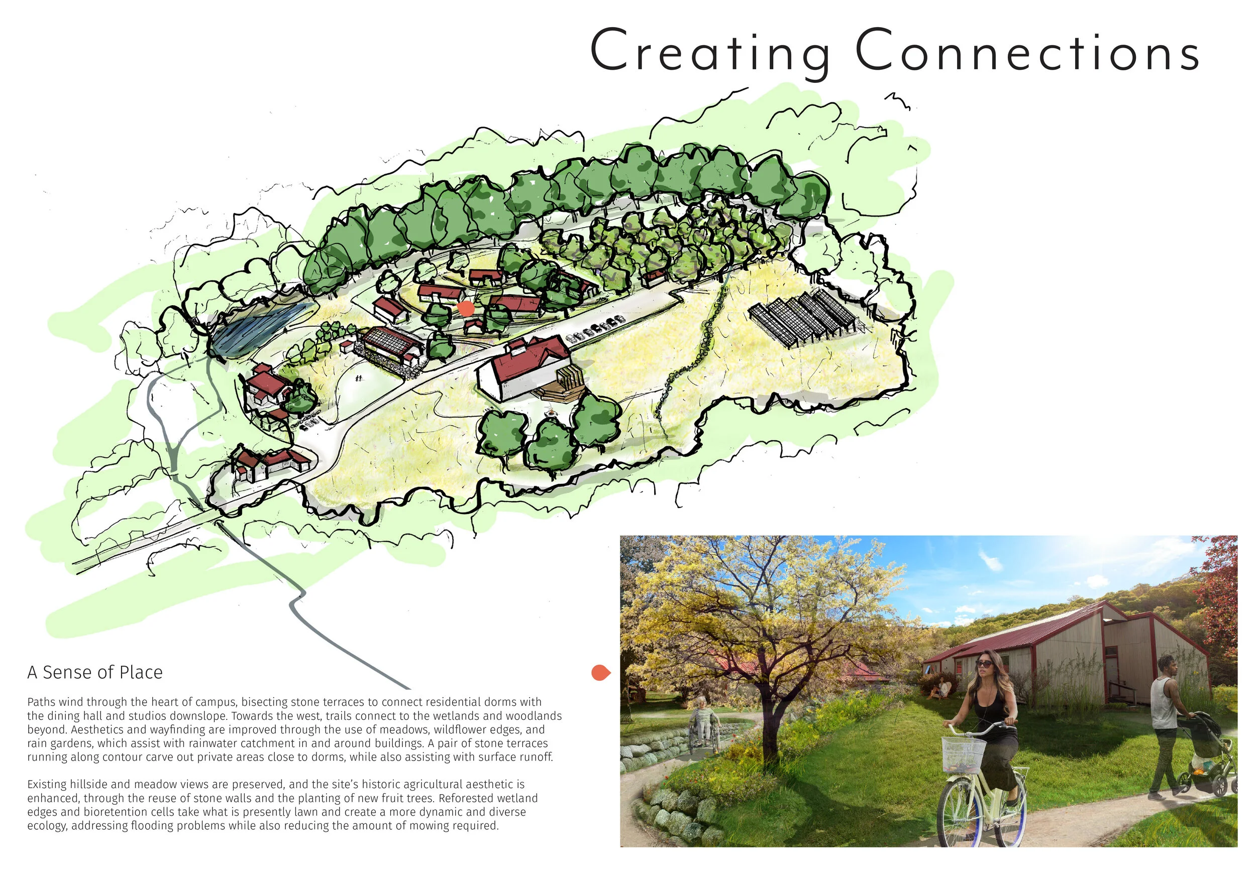 Services Offered — Landscape|nteractions