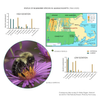 Designing Biodiversity — LANDSCAPE|NTERACTIONS