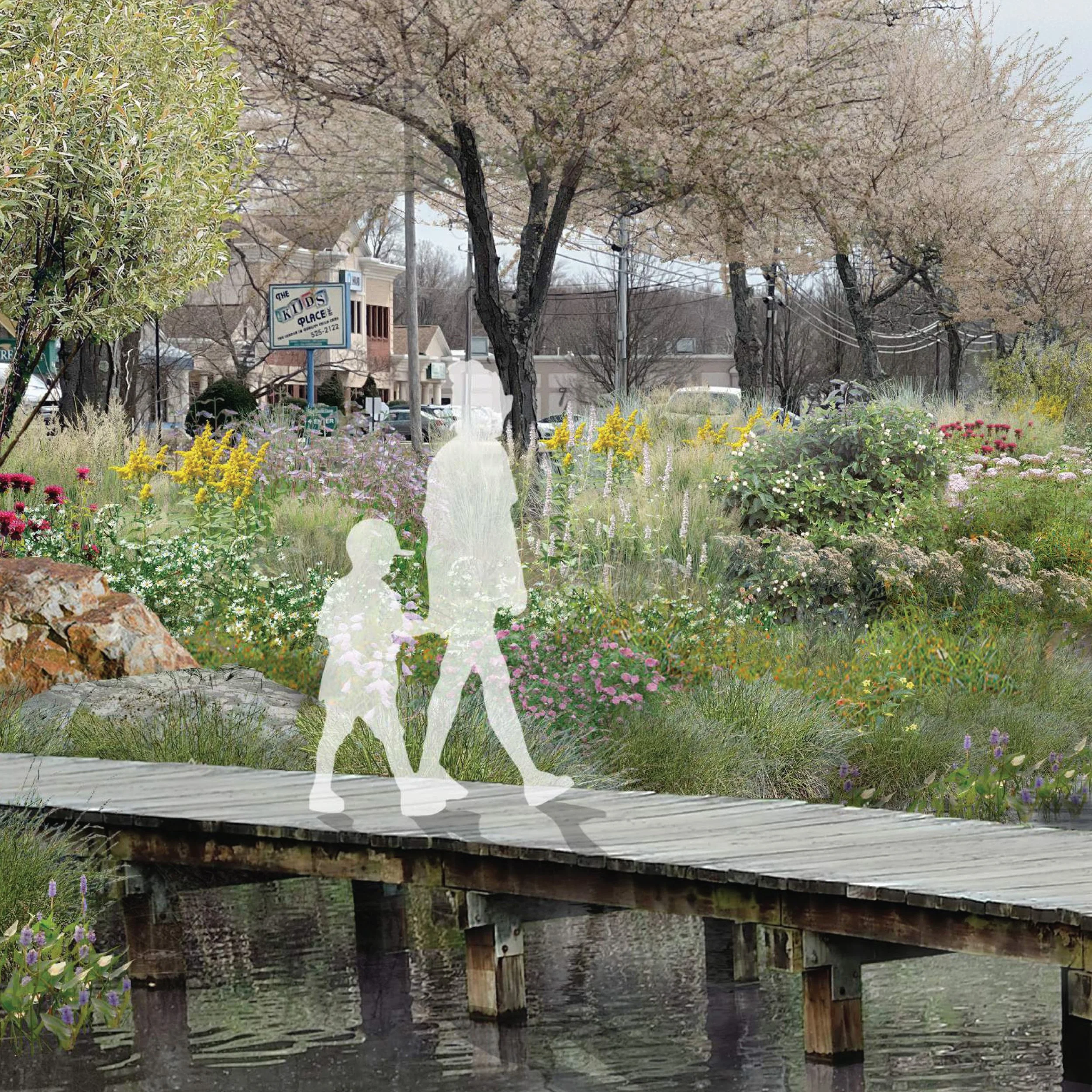 Biodiverse Landscape Design Projects in Massachusetts, New York and New ...
