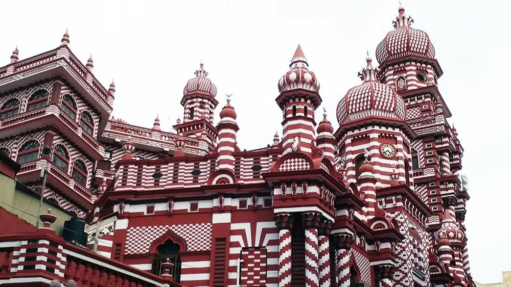 Amazing Curated Colombo City Walk - Ayu in the Wild