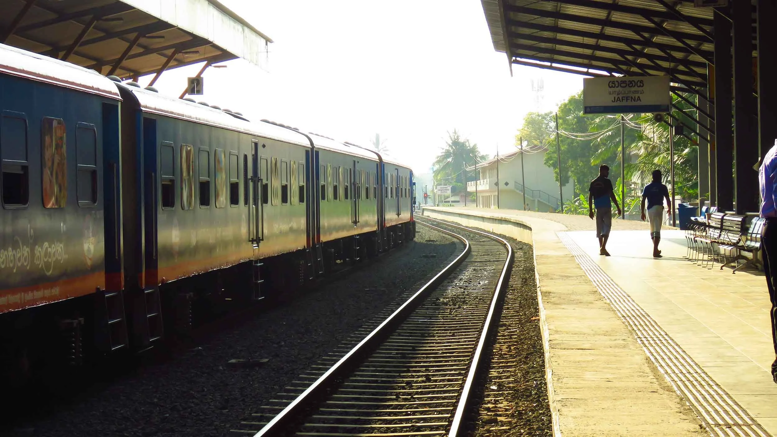 Wish I Was Here in Magnetic Northern Sri Lanka | Ayu in the Wild