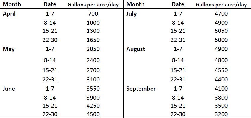 Managing Irrigation to Maximize Grape Production — SJV Trees and Vines