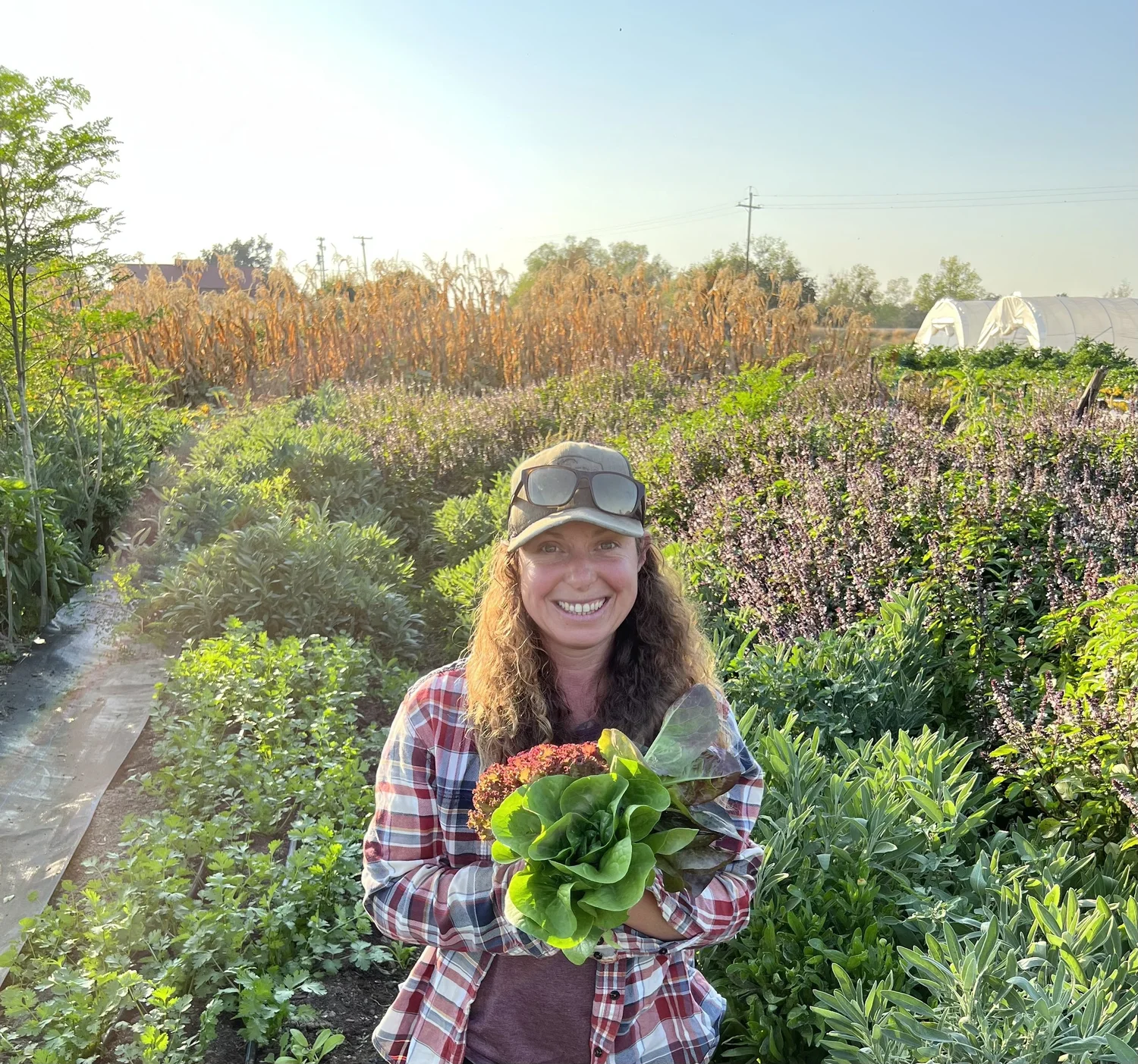 Sara Rosenberg joins UCCE as regenerative agriculture farm advisor ...