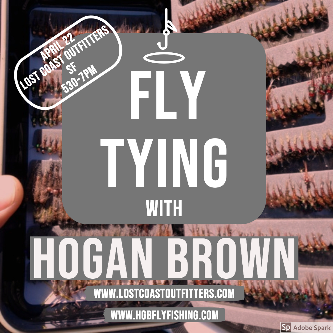 Reports and News...17 April 2019 — Hogan Brown Fly Fishing
