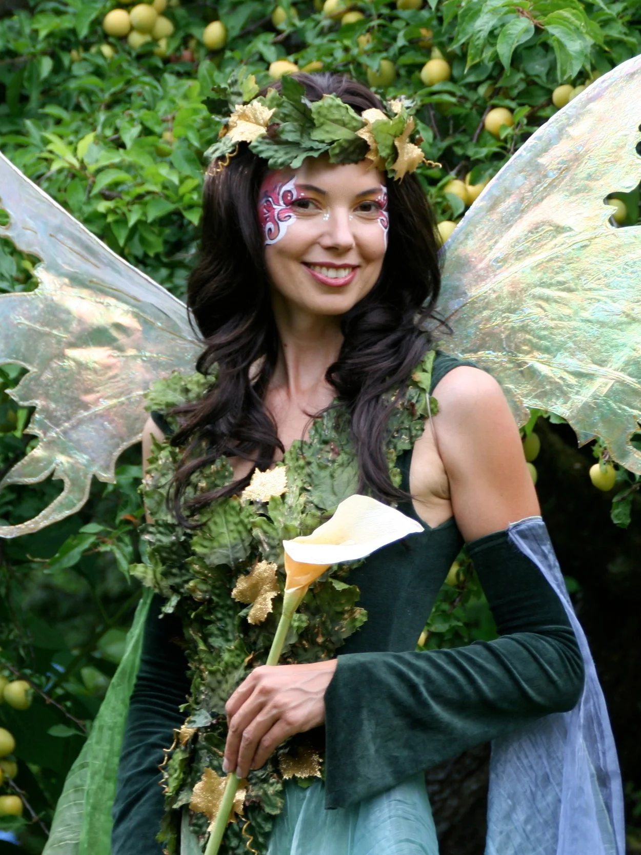 Virtual Fairies birthday party in Vancouver — In the Company of Fairies