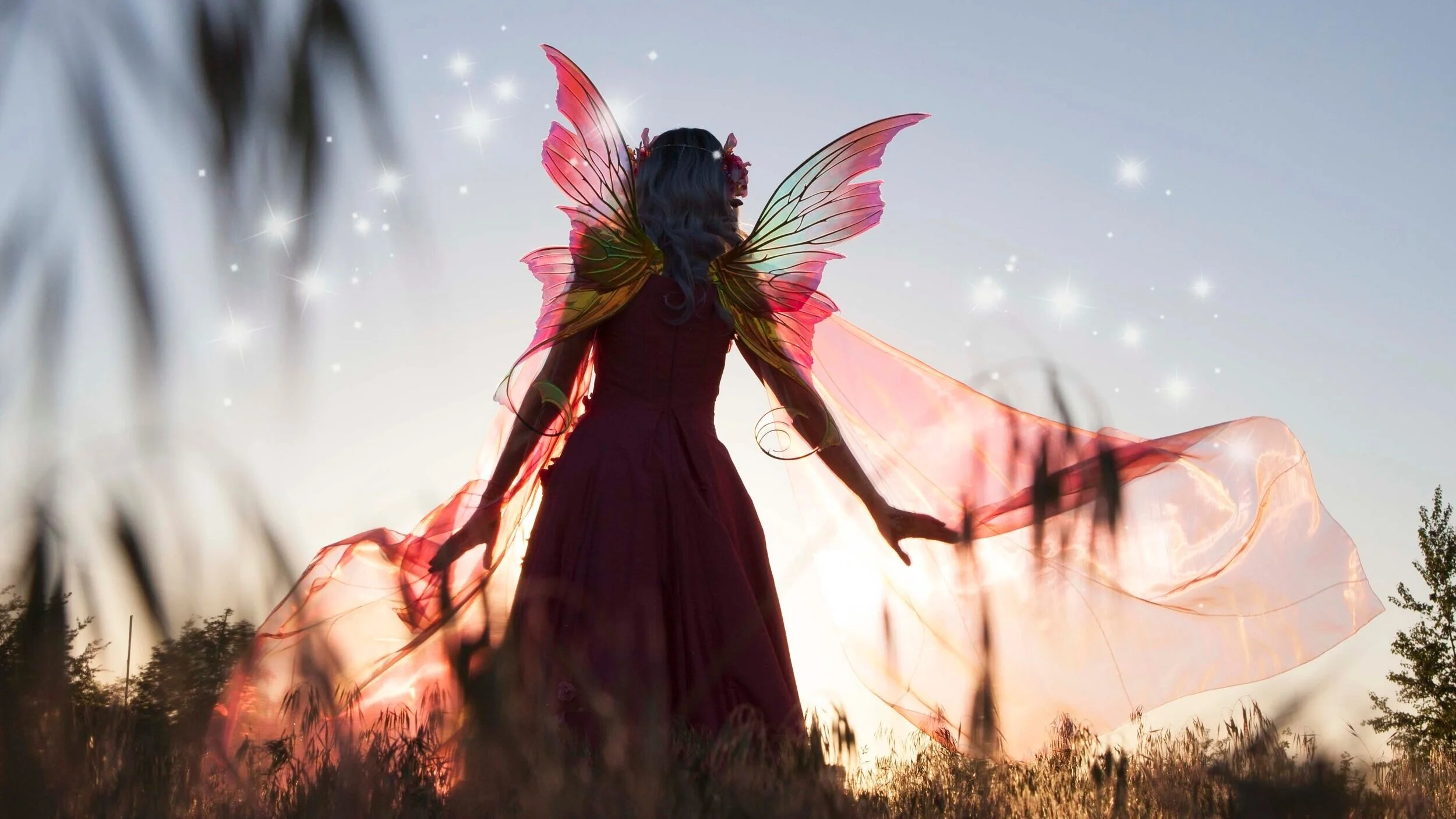 Virtual Fairies birthday party in Vancouver — In the Company of Fairies