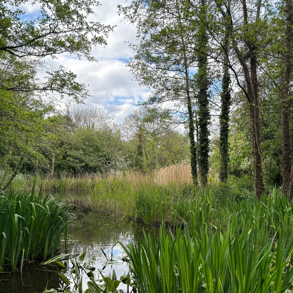FLO London | Best green spaces to visit in London in summer 2024