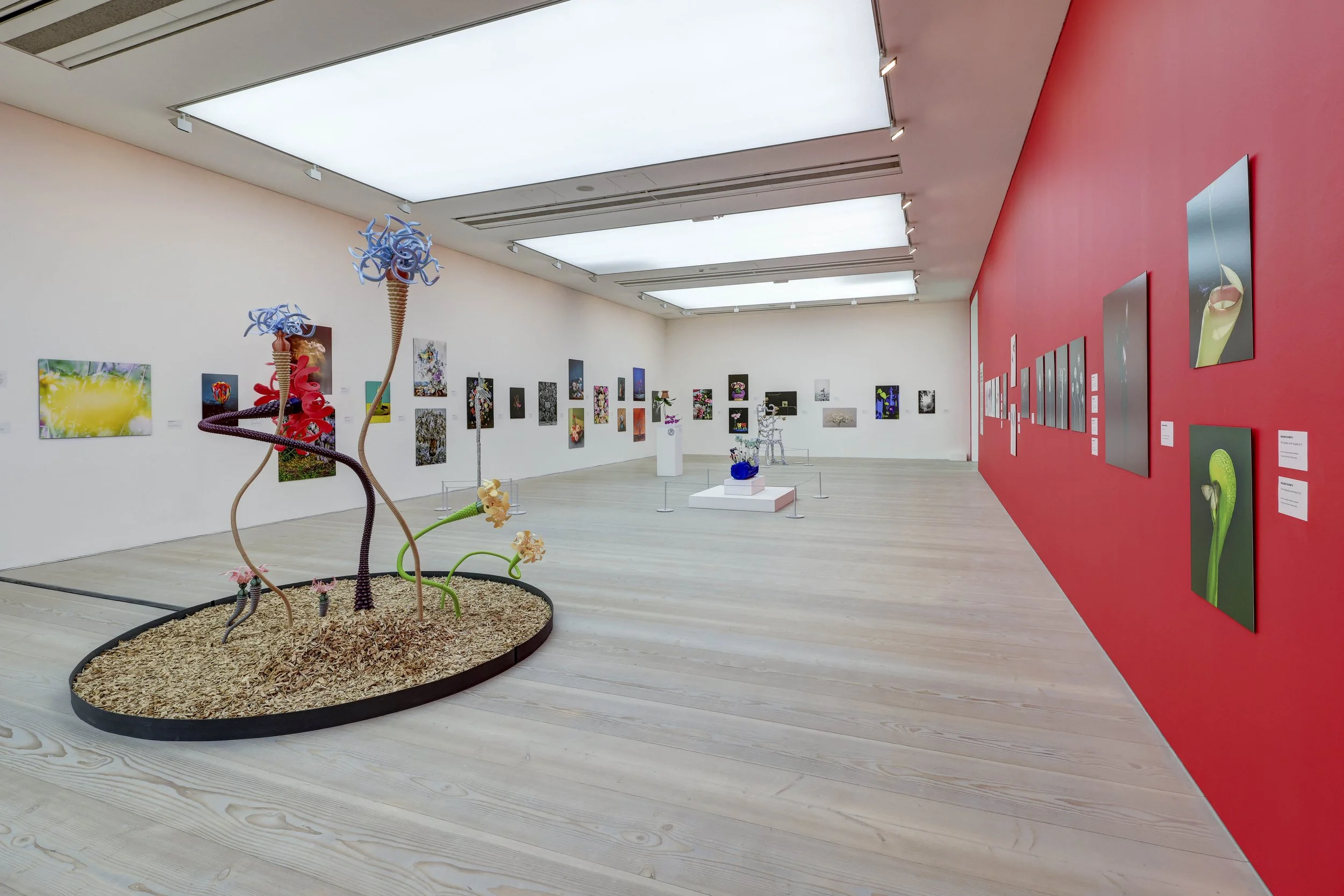 FLO London | Flowers: Flora in Contemporary Art & Culture at the ...