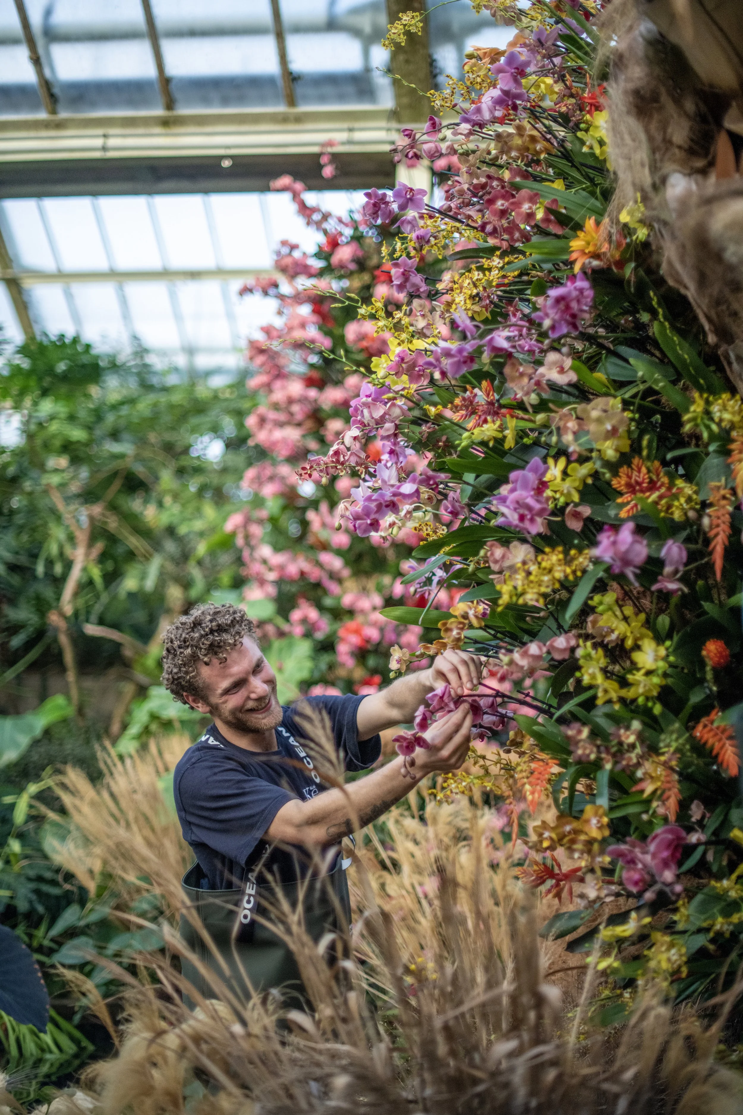FLO London | Kew Gardens' Orchid Festival 2024 explores the magic of ...