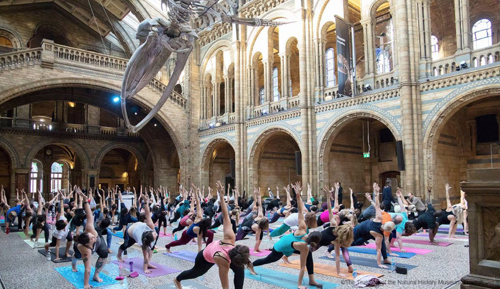 FLO London | Best yoga & studios & classes in London