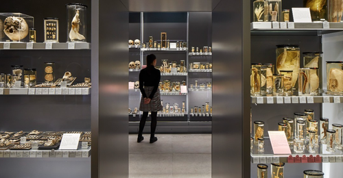 FLO London | 20 exceptional small museums to visit in London