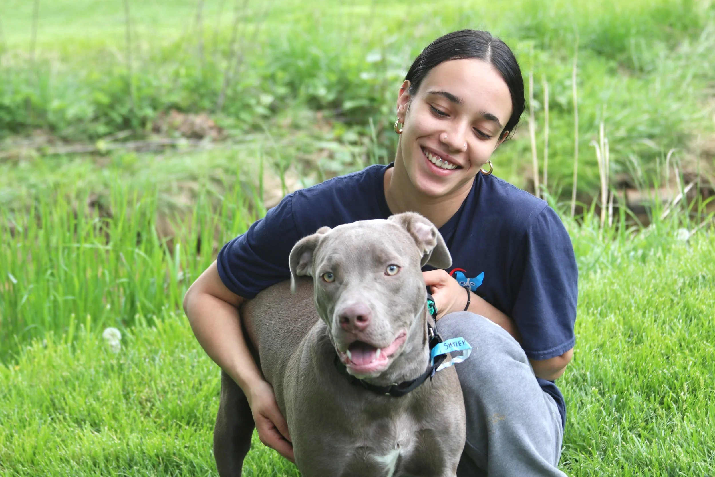 Become a Foster Today! — Lehigh Valley Humane Society