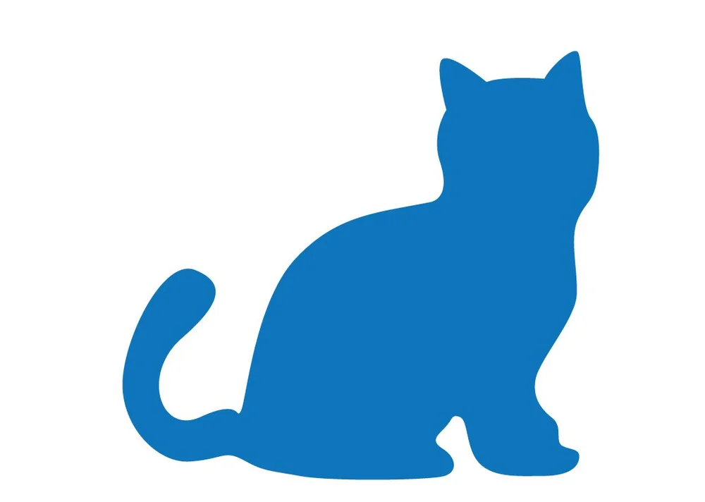 Become a Foster Today! — Lehigh Valley Humane Society