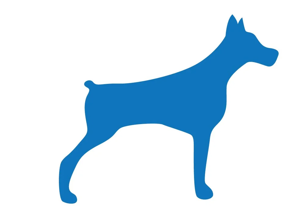 Become a Foster Today! — Lehigh Valley Humane Society