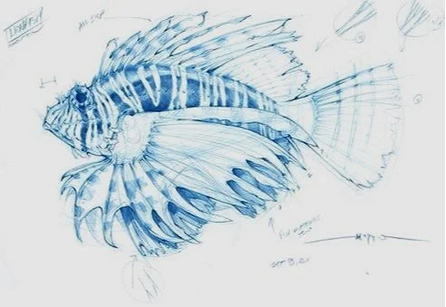 Organic Sketching — Workshop SLC