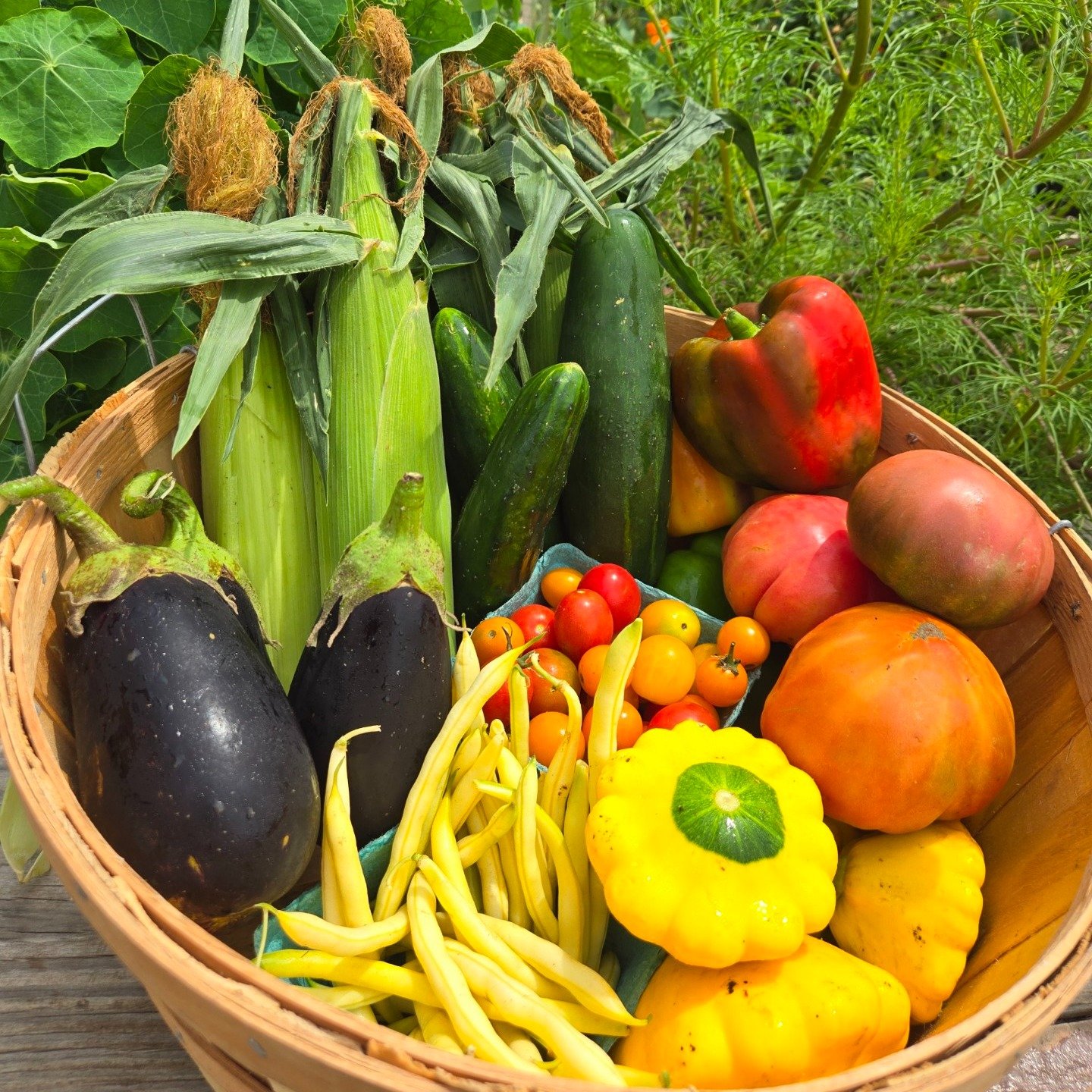 Farm Store — EPIPHANY FARMS ESTATE