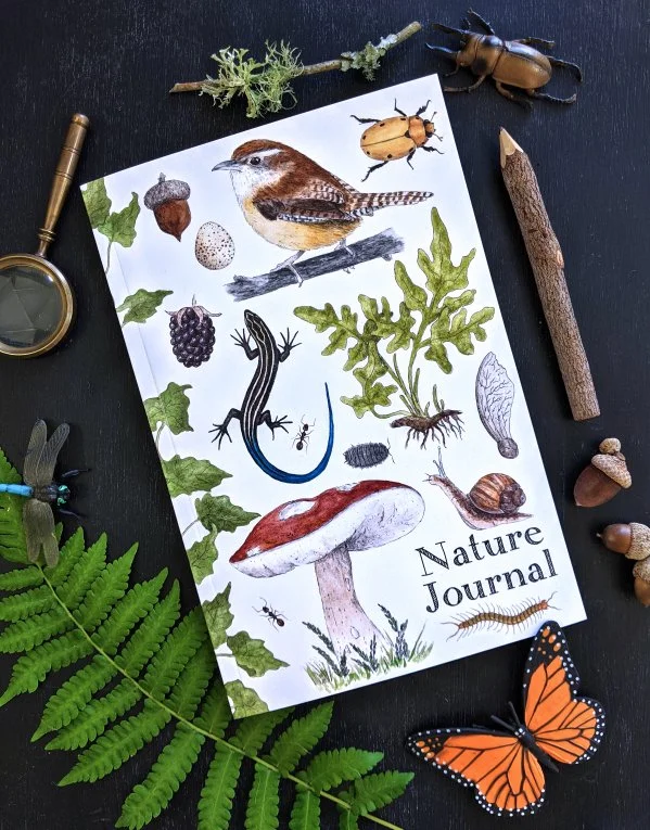 Small Nature Journal — Twig & Moth