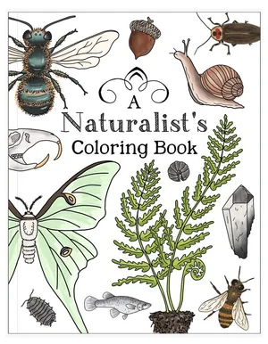 Naturalist's Coloring Book — Twig & Moth