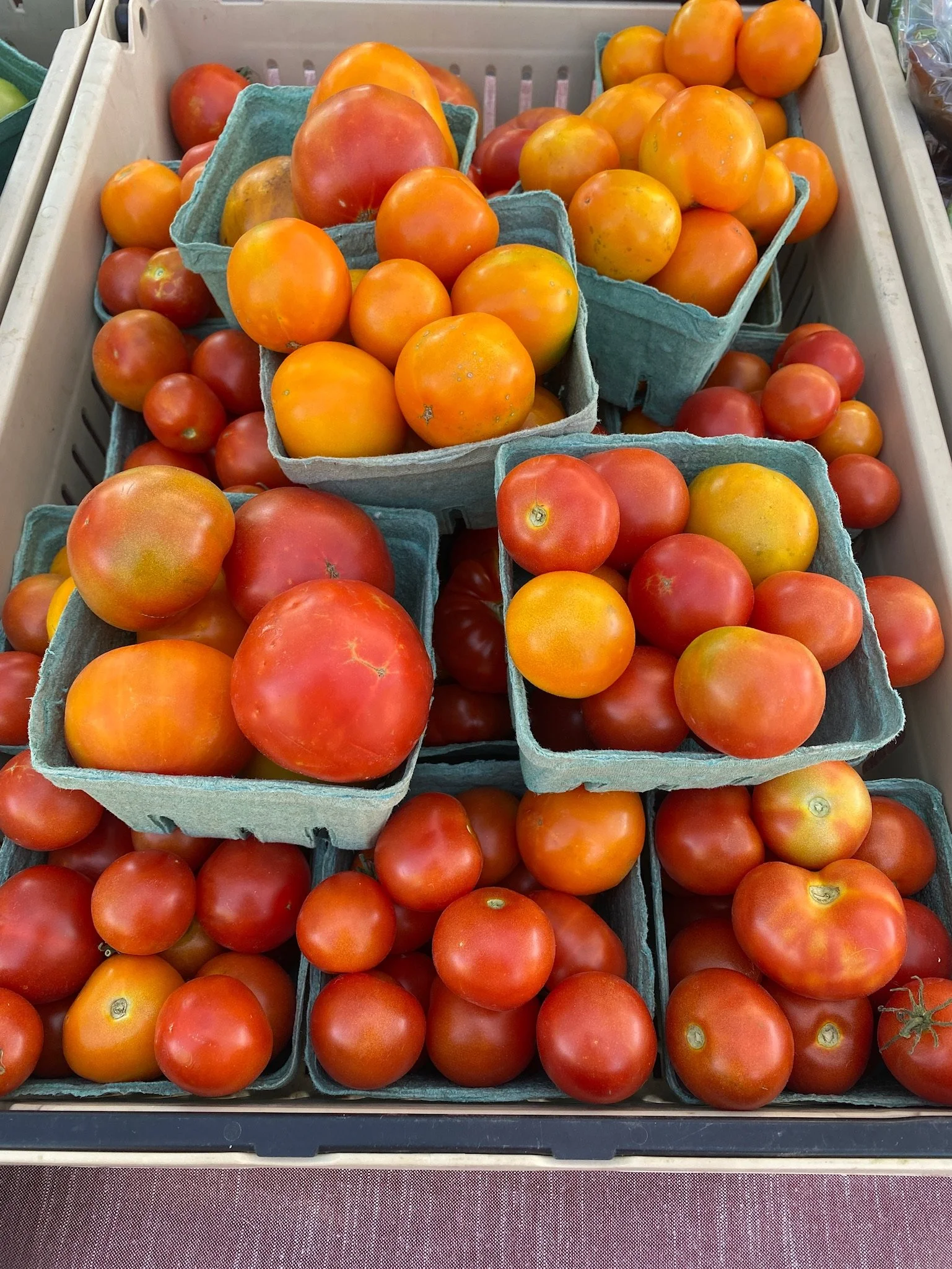 Roaring Fork Valley/Silt CSA | Highwater Farm