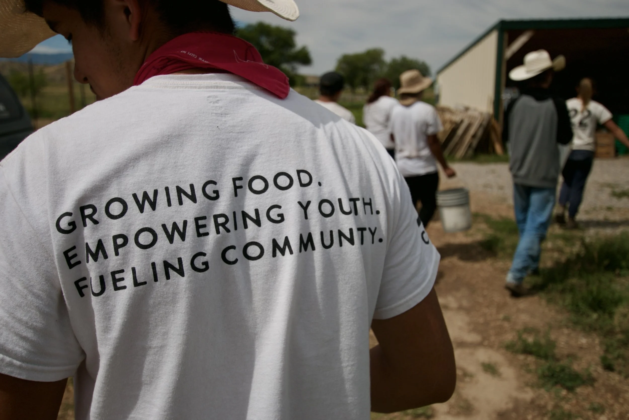 Regenerative, Community Farming in Silt, CO | Highwater Farm