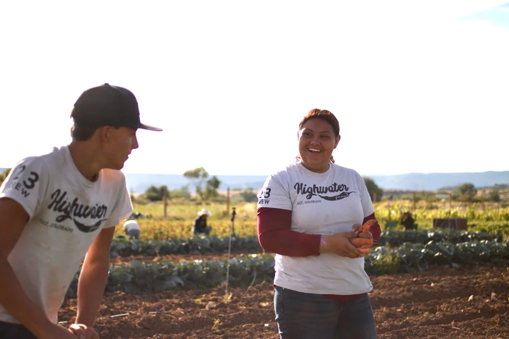 Regenerative, Community Farming in Silt, CO | Highwater Farm