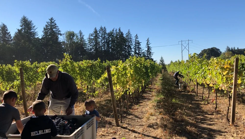 Welcome — Postlewait's ~ True Country Elegance at it's Best!