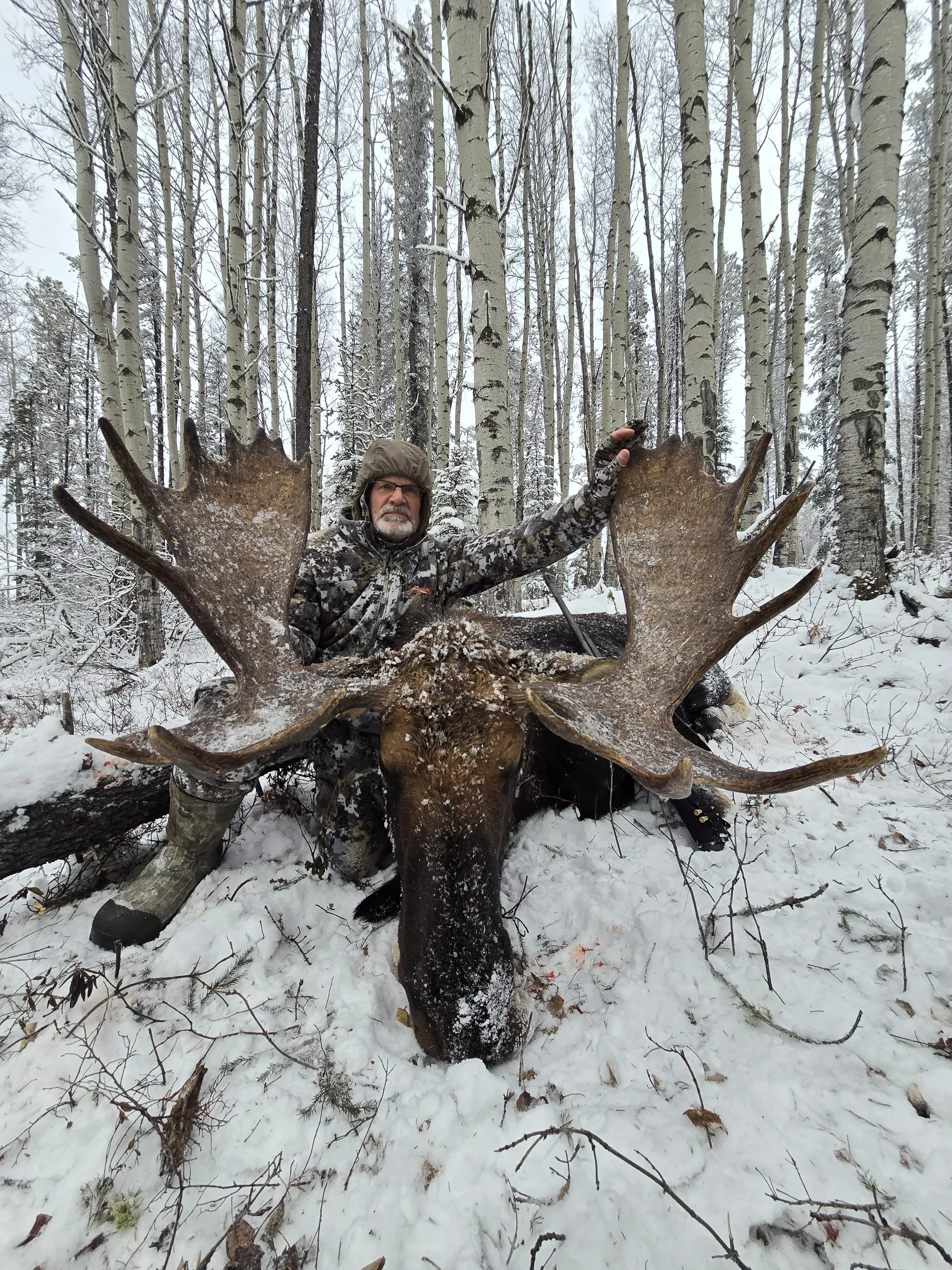 Alberta Moose Hunt — Primal Adventures