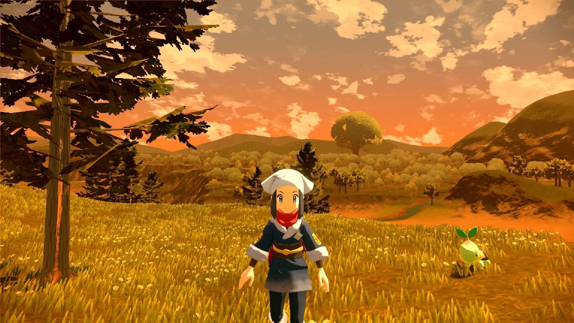 Explore an untamed wild in Pokemon Legends Arceus — Maxi-Geek