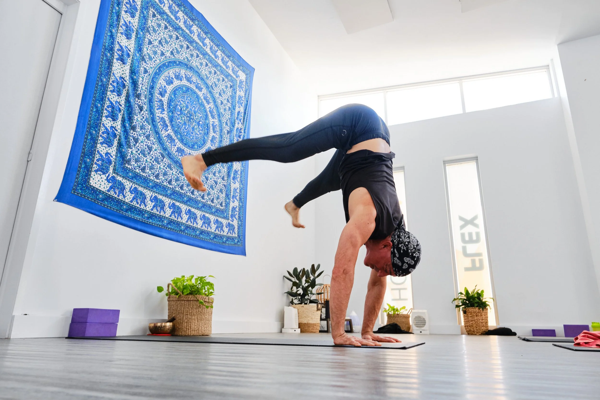 Adho Mukha Vrksasana