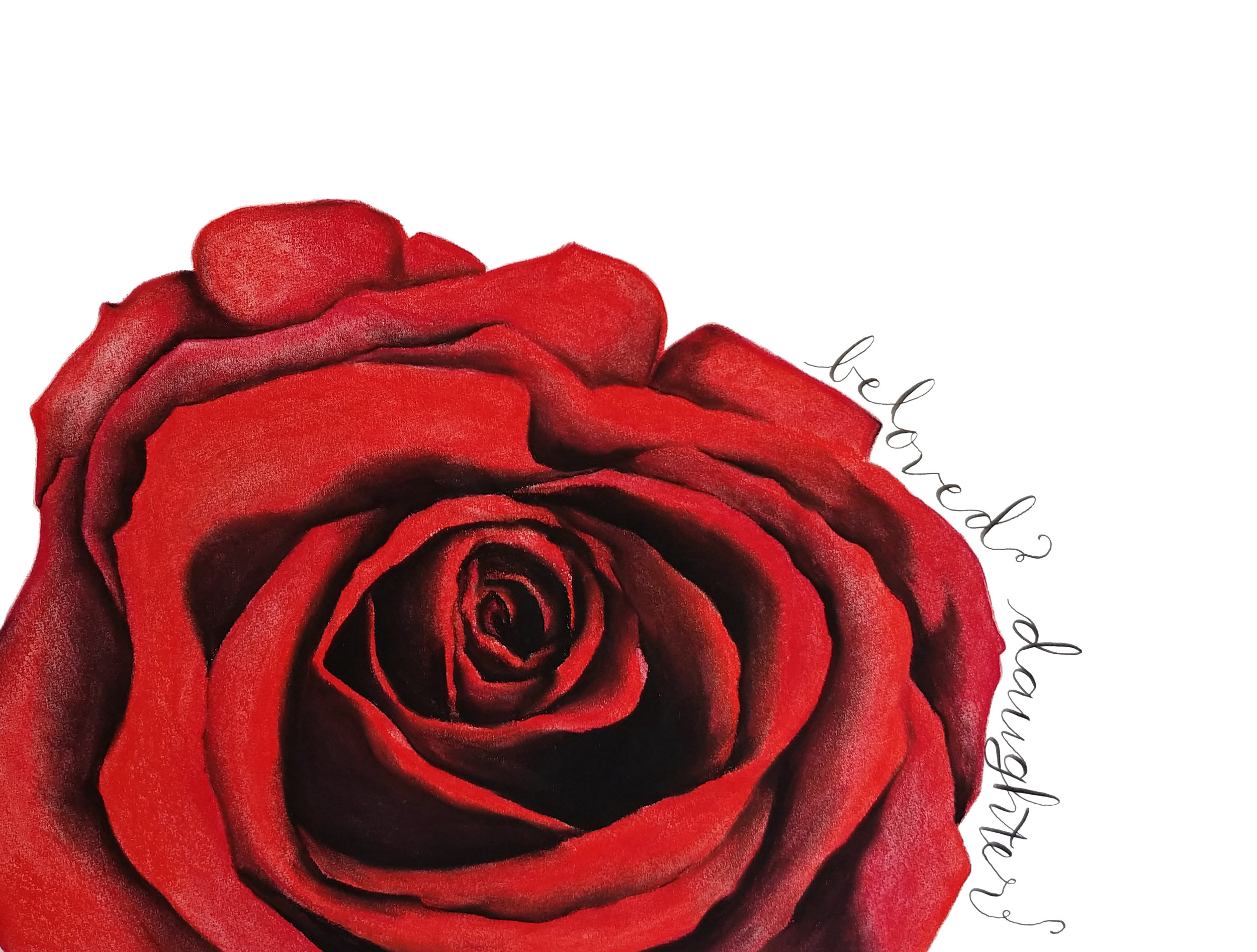 Fine Art Prints — tealpatrickart by Allison Lewis