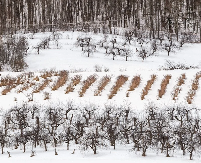 Current Exhibits — Gallery on the Green