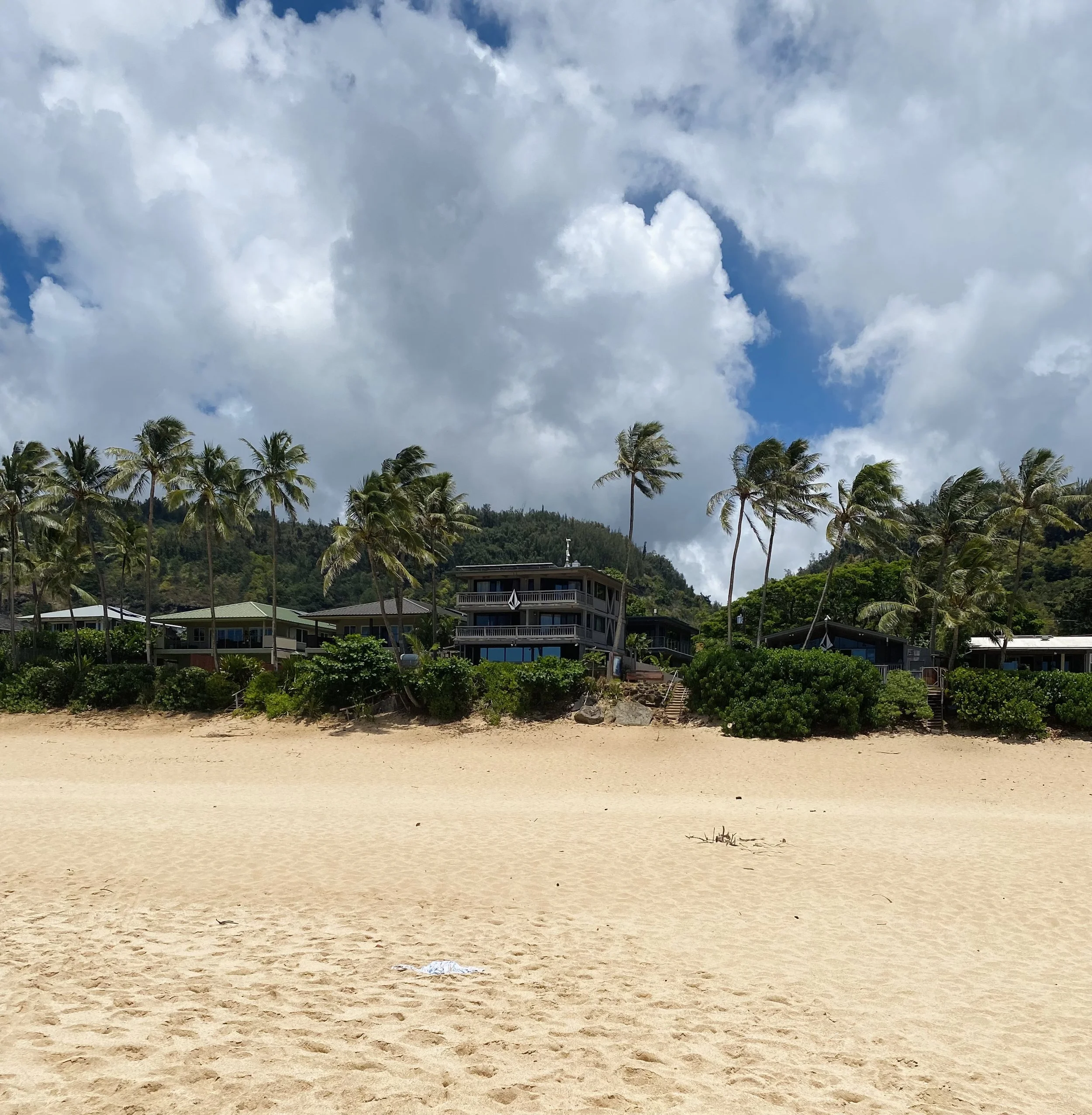 Not Your Average Oahu Travel Guide — B L U S H