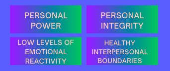 A Different Kind of Leader: What is Differentiated Leadership? — RJCG