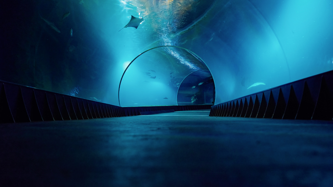 Santa Cruz Announces Plan to Build First Underwater City-to-City Tunnel ...